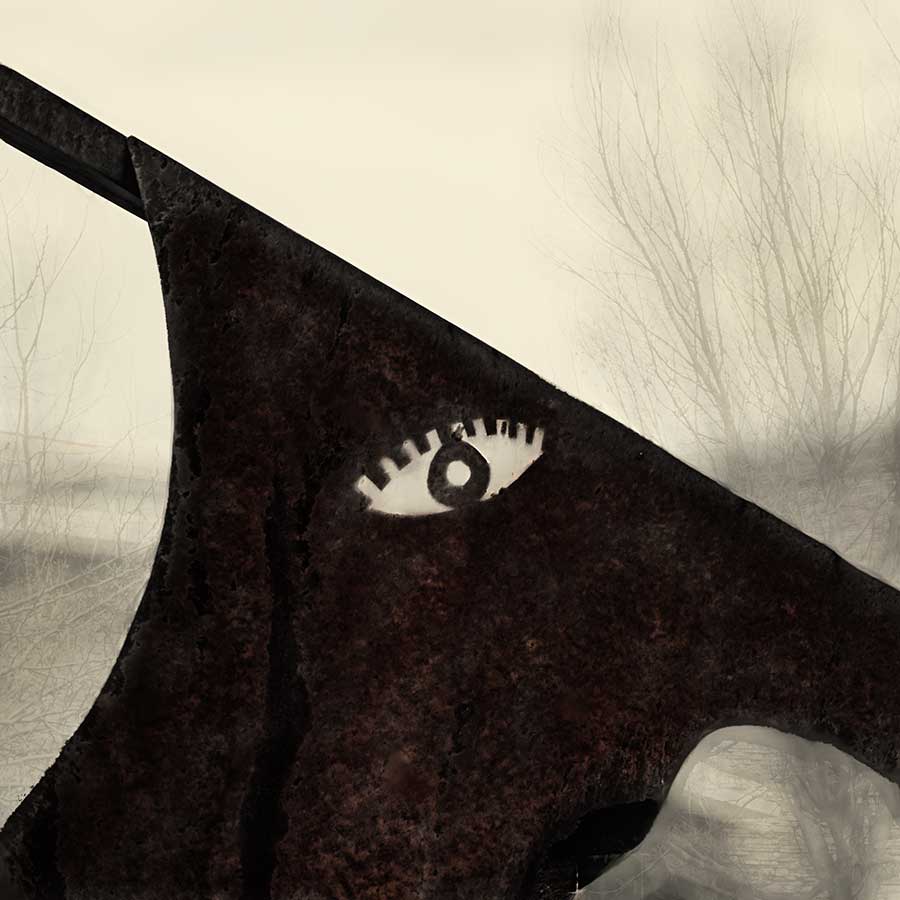 the eyes have it – a meditative journey