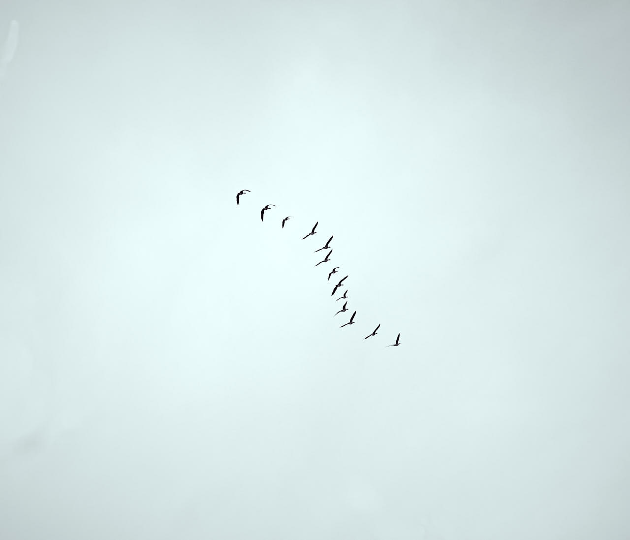 lens-artists: delicate – a meditative journey