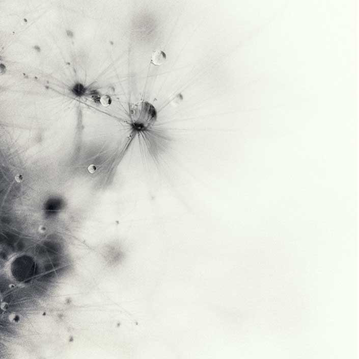 lens-artist: dreamy – a meditative journey