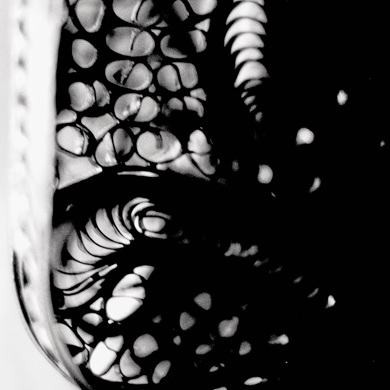 dance of light and shadow – a meditative journey