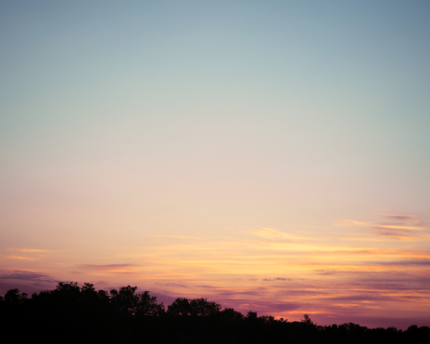 monday morning with pascal mercier – a meditative journey