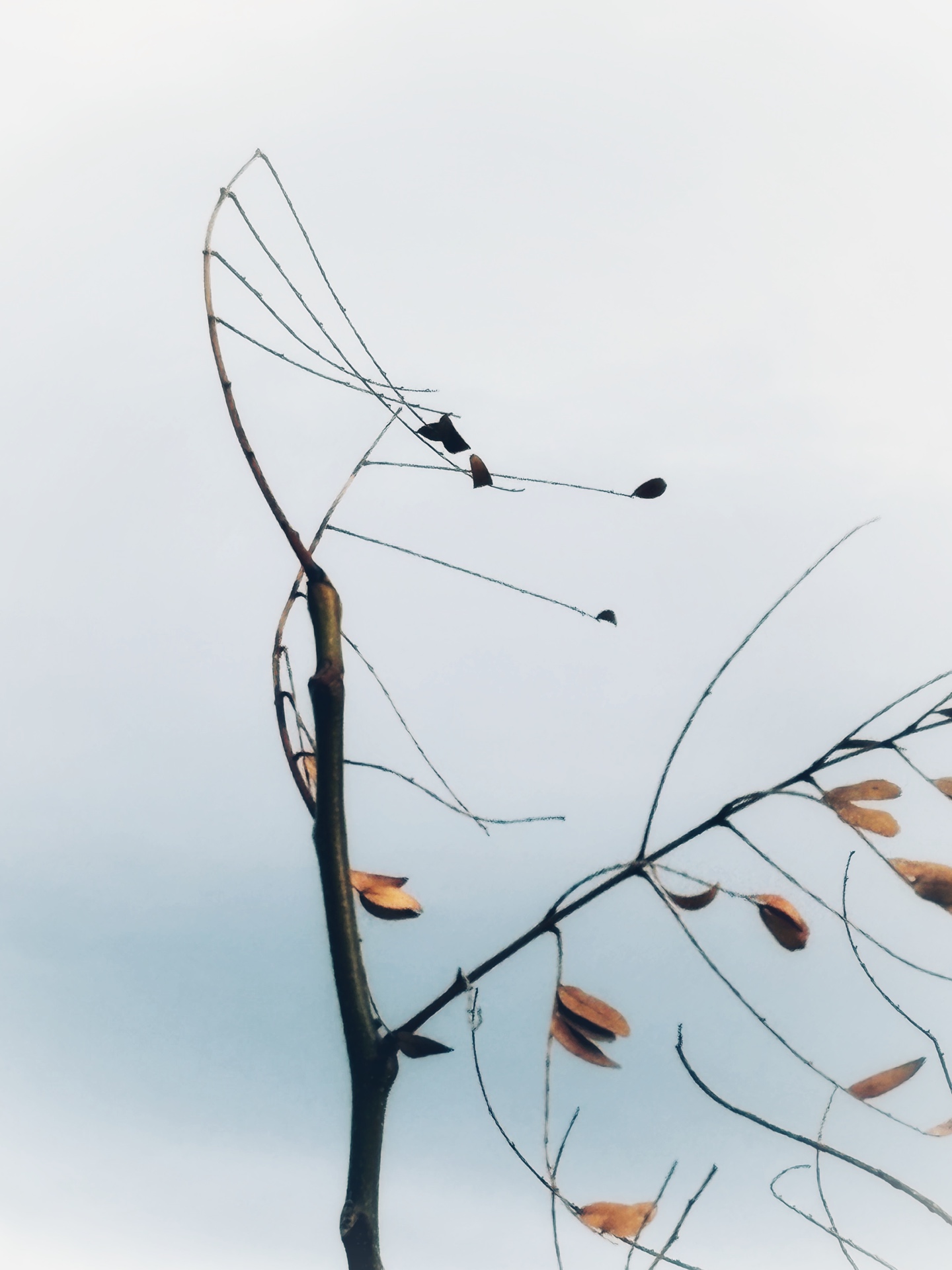 contemplative photography – flash of perception – a meditative journey